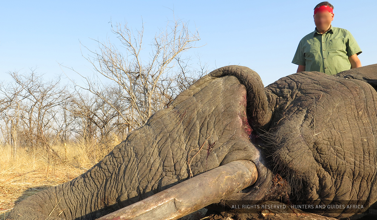 Hunters and Guides Africa - Destinations Zimbabwe